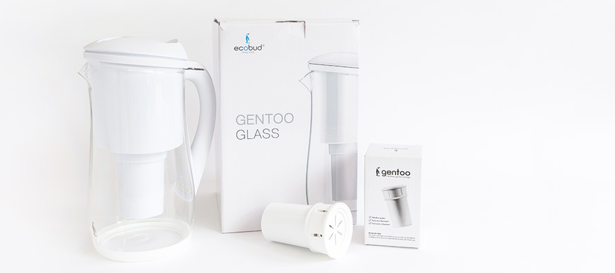 What To Consider When Choosing a Glass Water Filter Jug | Shop ...